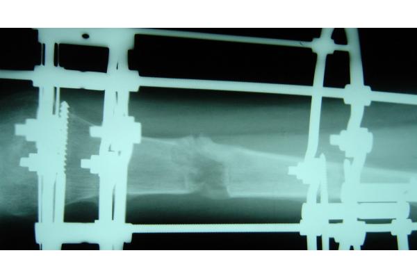 Is Bigger Better? - Milken Institute Review