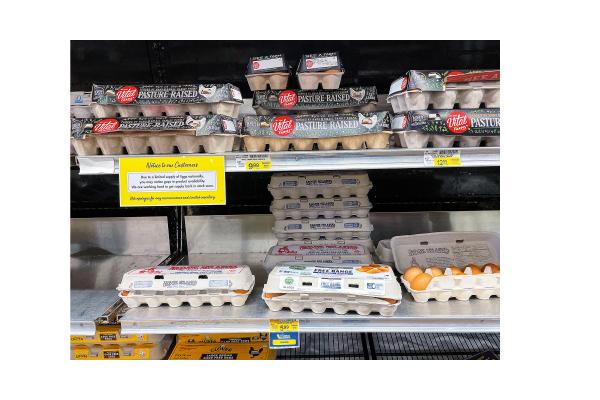 How Sticky Prices Derailed the Fed’s New Inflation Plan - Milken ...