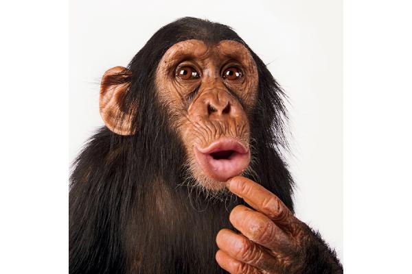 The Importance of Being Unimportant - Milken Institute Review